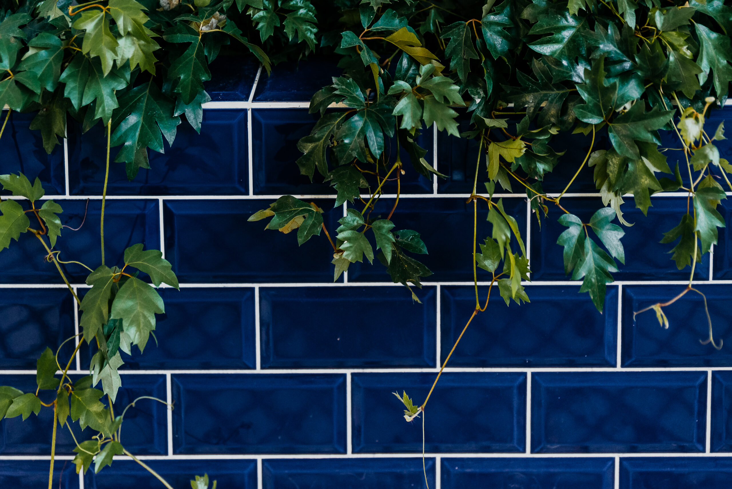 CLASICO PICHINCHA | Barsante Disegno | Proyectos de arquitectura e ...